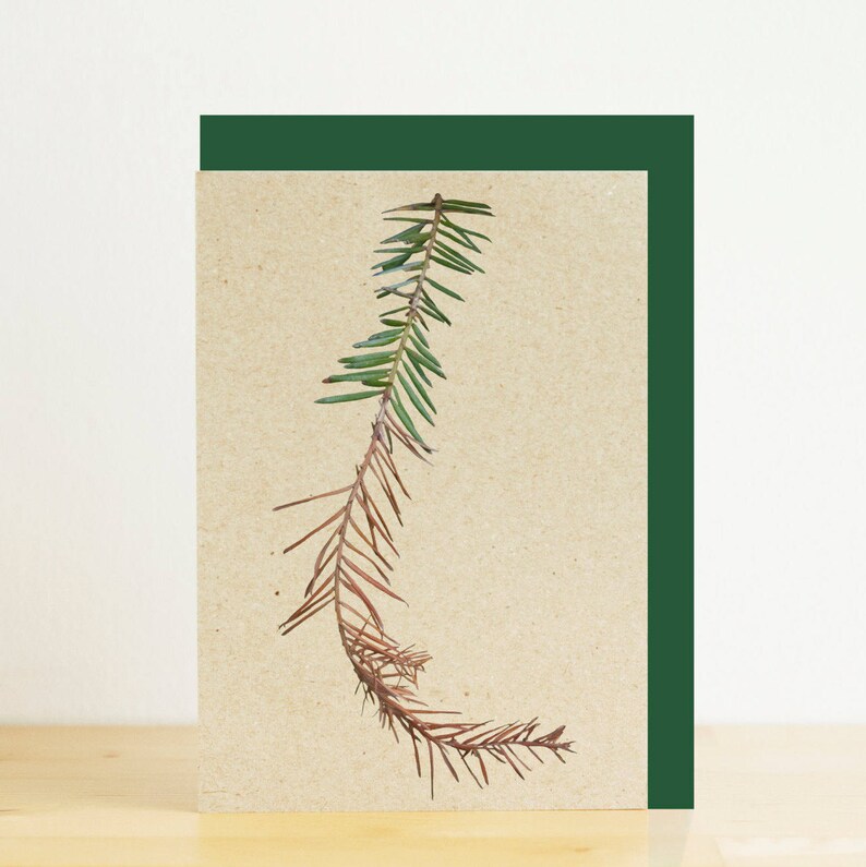 Spruce Twig Blank Card With Green Envelope, A7/A6 Card, Eco Friendly ...