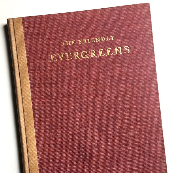 Shrubs Evergreen - Etsy