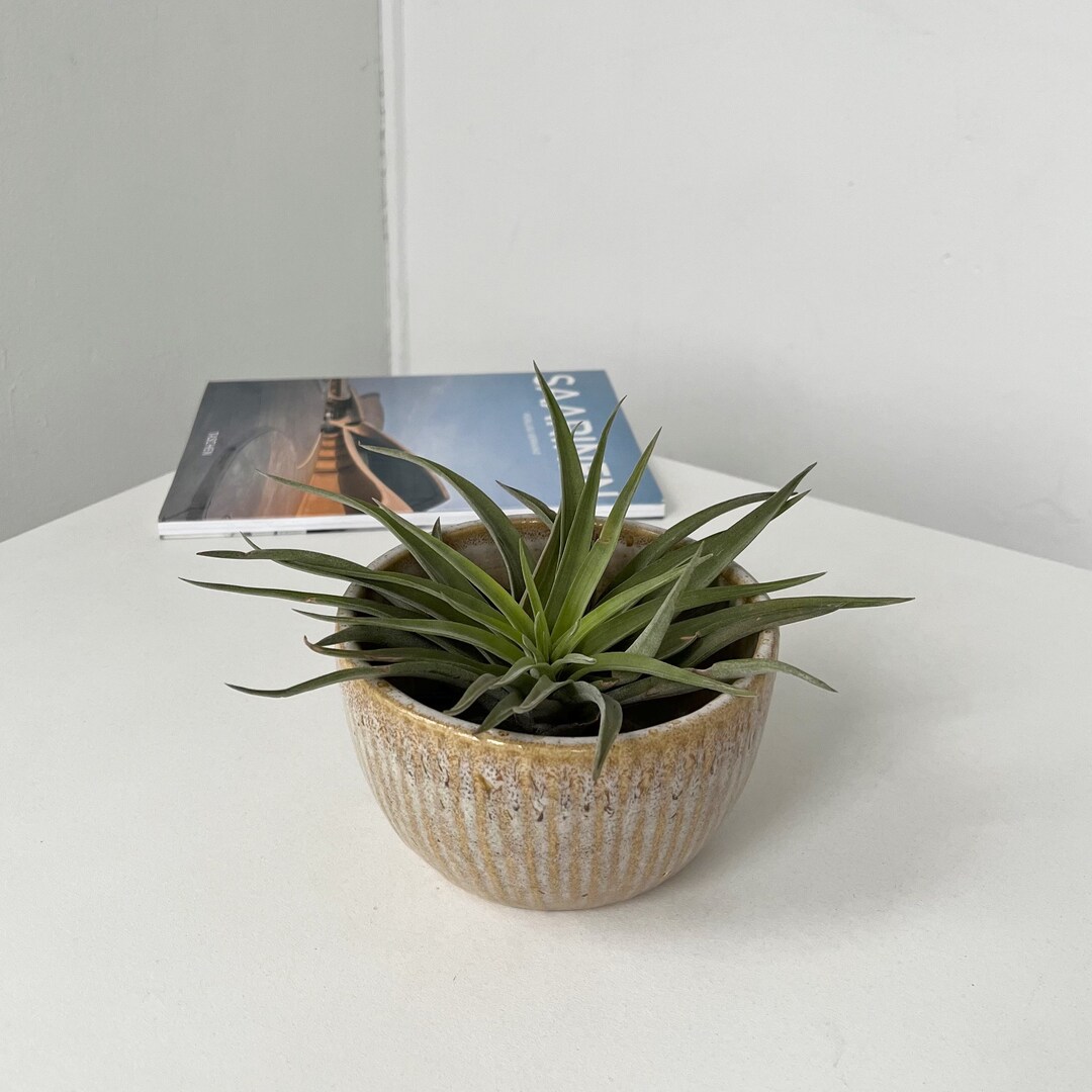 Vintage Zanesville 4404 Stoneware Planter-ribbed Round ZSC Planter Bowl ...