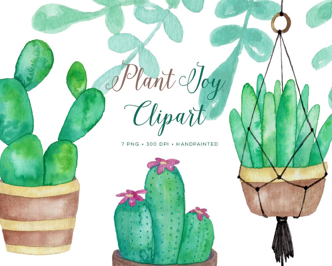 Watercolor Clipart Plants Succulents, Planters, Cactus. Hand Painted ...