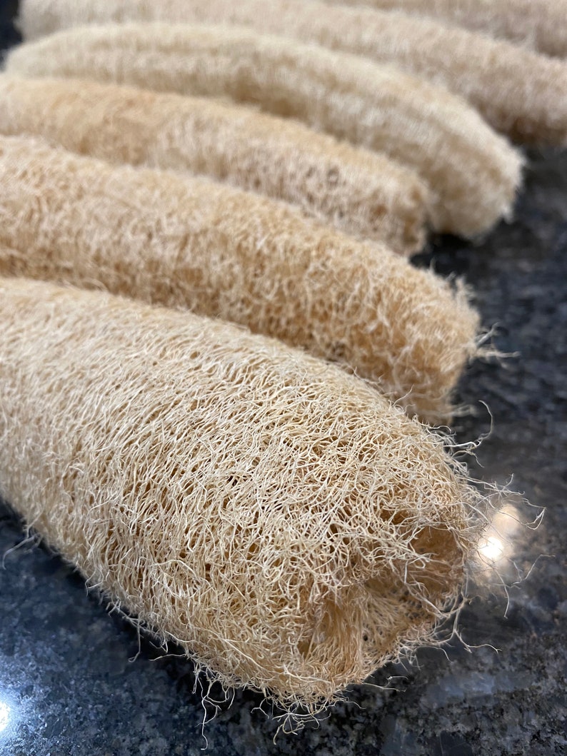 Organic Loofah - Oklahoma, USA Grown - Etsy