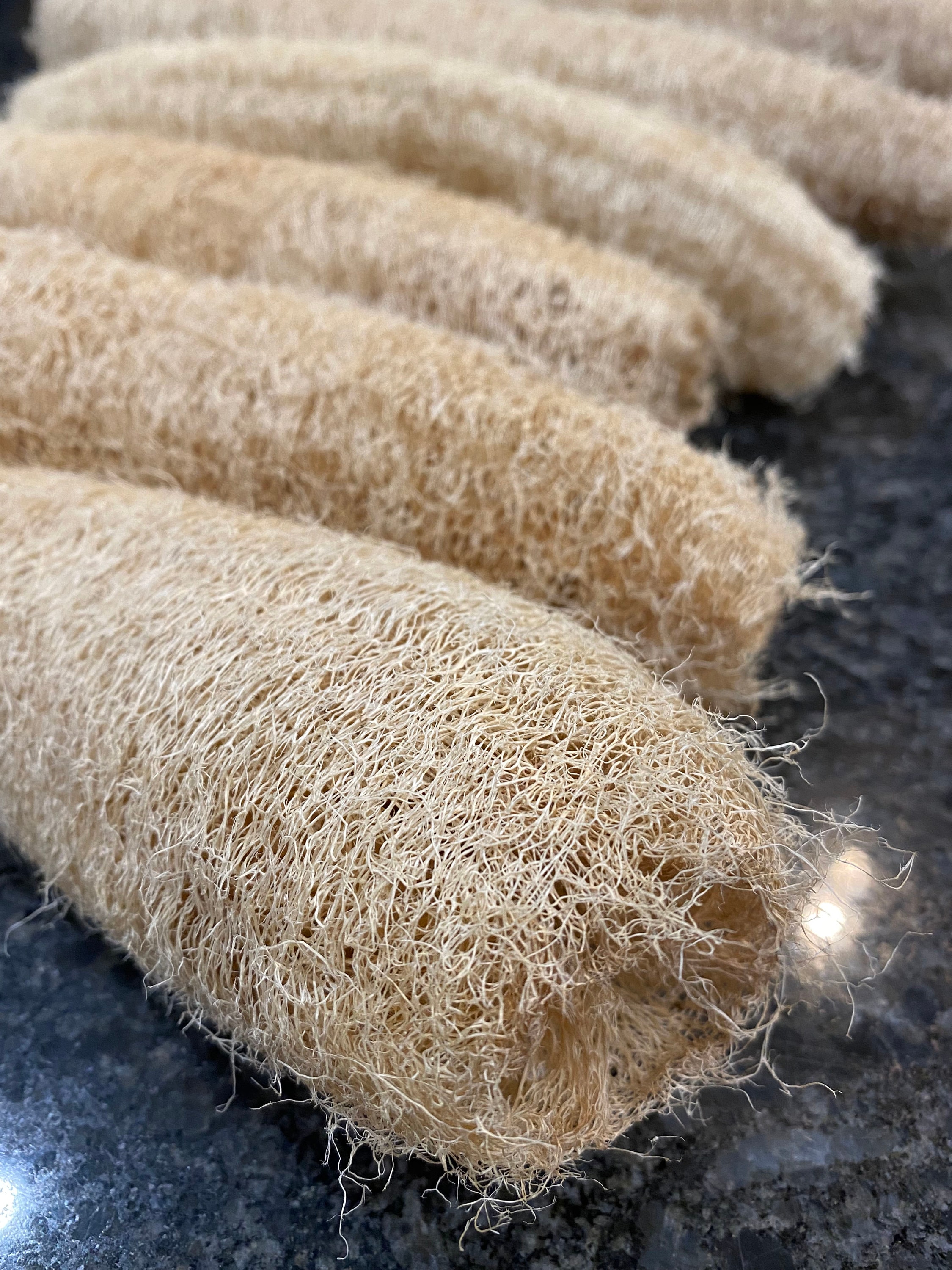 Organic Loofah - Oklahoma, USA Grown - Etsy