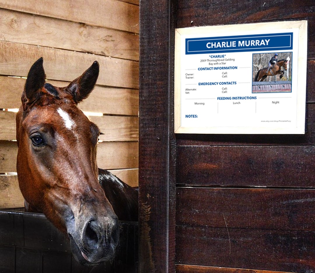 Personalized Printable Horse Stall Card - Etsy