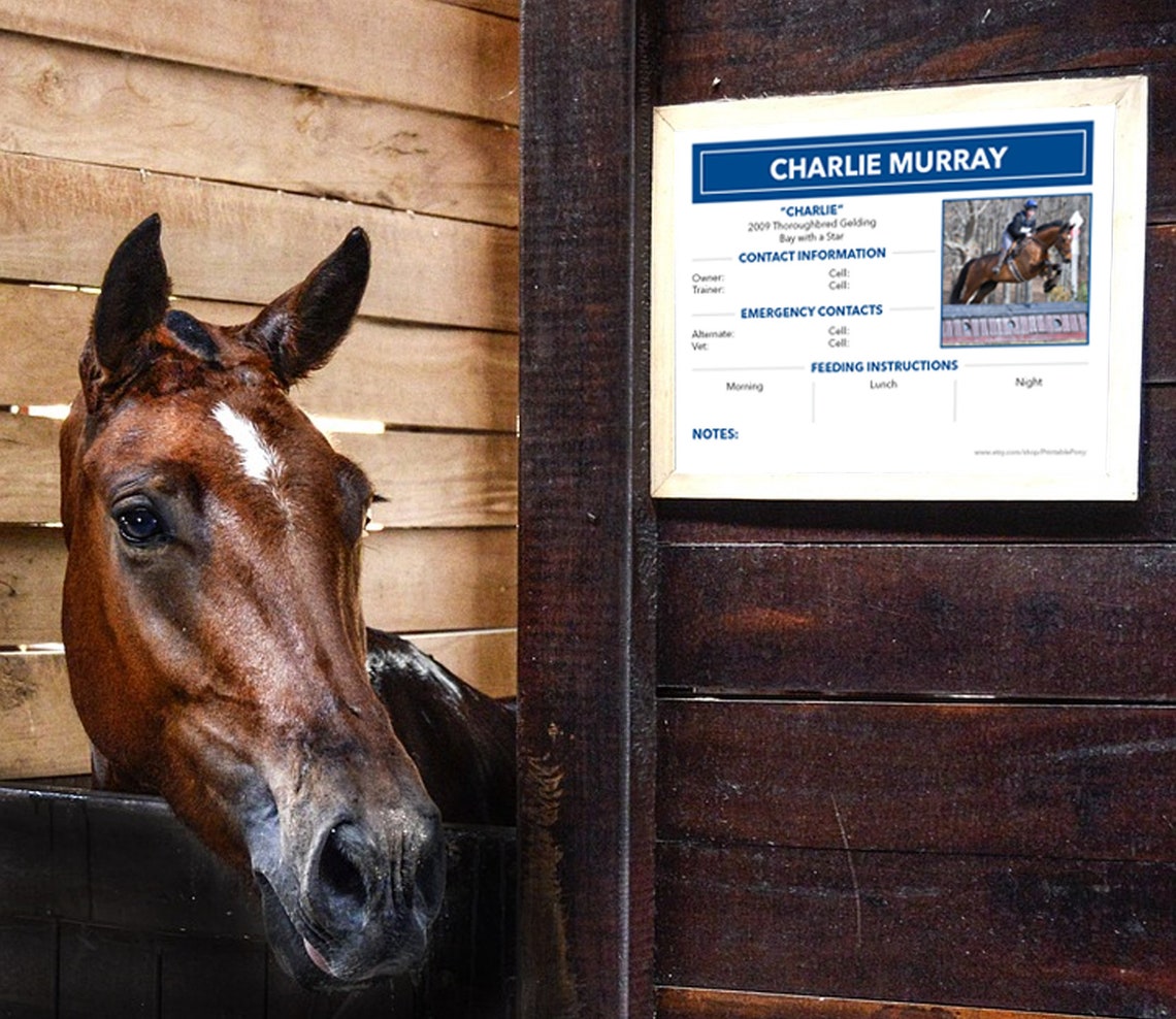 Personalized Printable Horse Stall Card - Etsy
