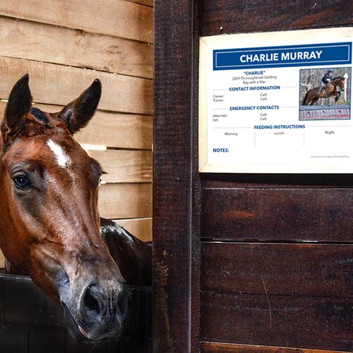 Printable Basic Stall Cards for Horses Stables Barns Horse - Etsy Canada