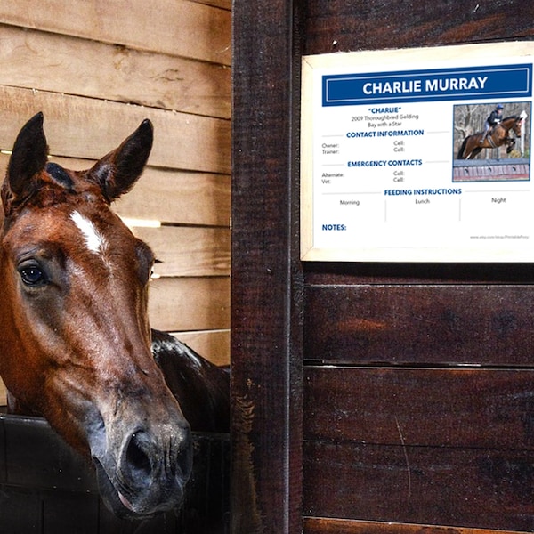 Printable Stall Card - Etsy