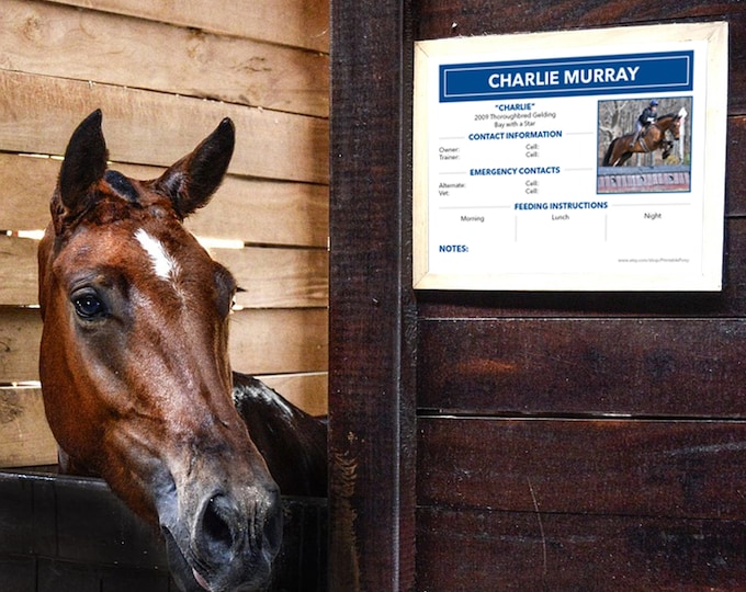 Personalized Printable Horse Stall Card | Etsy