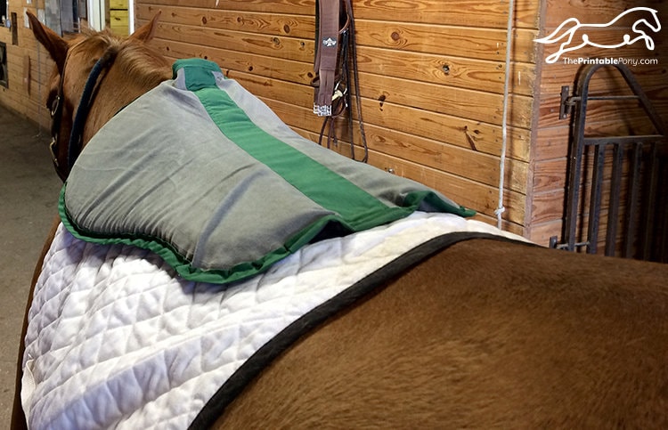 Horse Sewing Pattern BUNDLE - Etsy UK