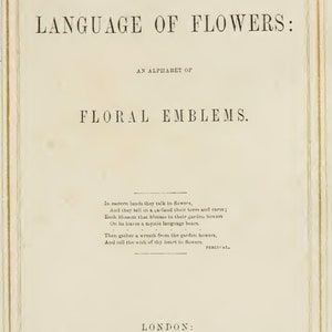 The Language of Flowers an Alphabet of Floral Emblems 1857 PDF Digital ...