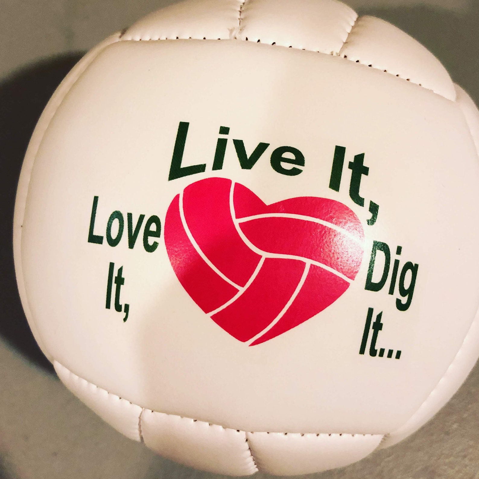 Personalized Custom Mini Volleyballs for Coaches' Gifts, Senior Gifts ...
