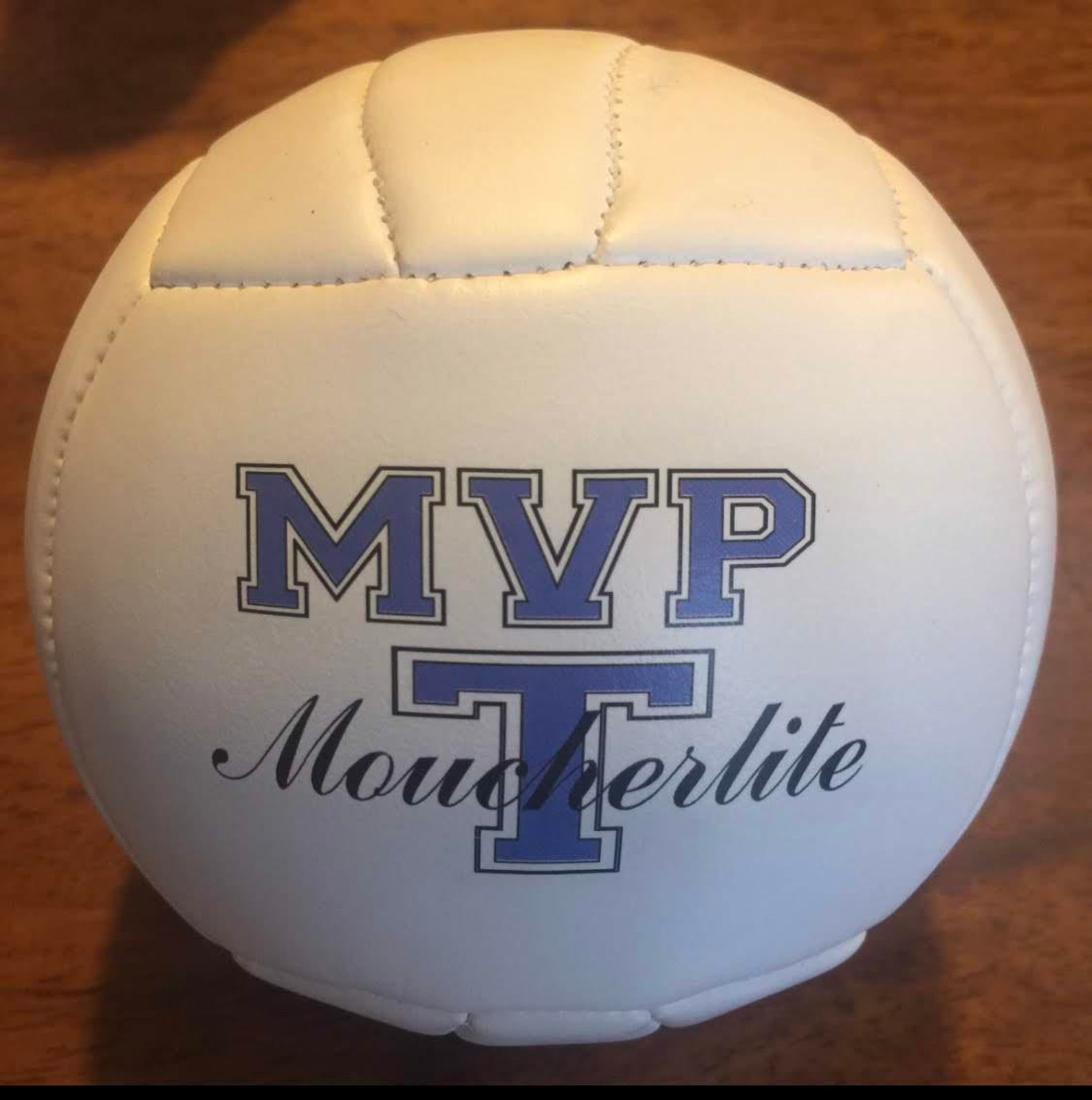 Personalized Custom Mini Volleyballs for Coaches' Gifts, Senior Gifts ...