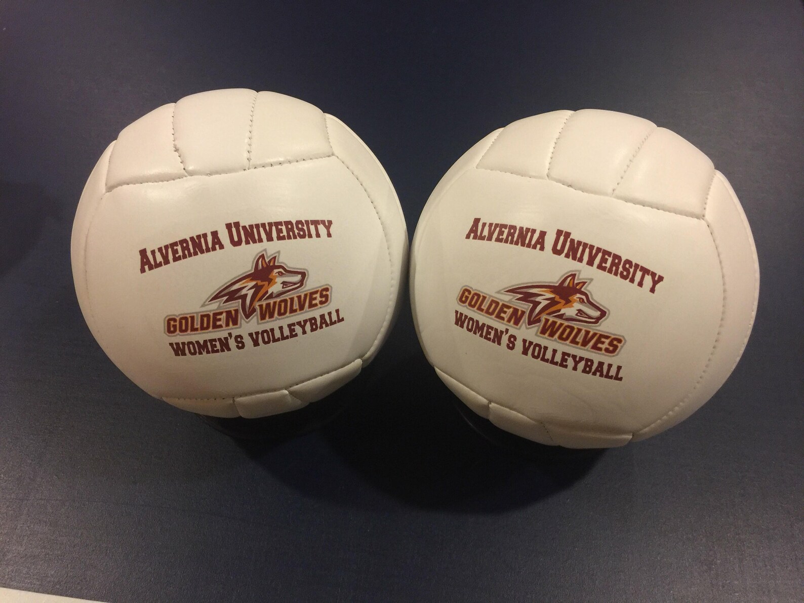 Personalized Custom Mini Volleyballs for Coaches' Gifts, Senior Gifts ...