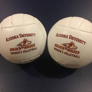 Personalized Custom Mini Volleyballs for Coaches' Gifts, Senior Gifts ...