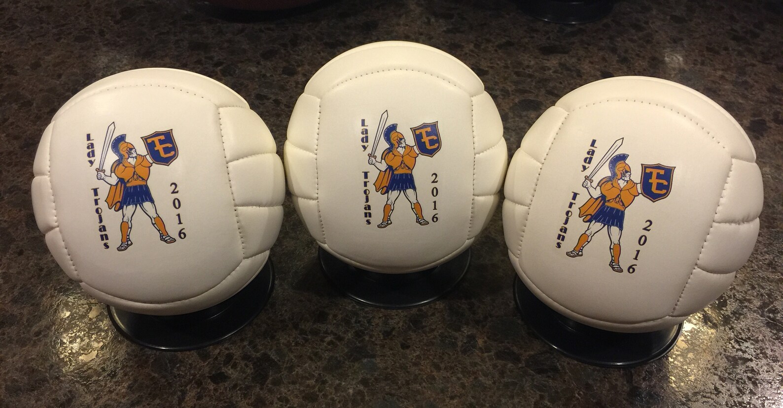 Personalized Custom Mini Volleyballs for Coaches' Gifts, Senior Gifts ...