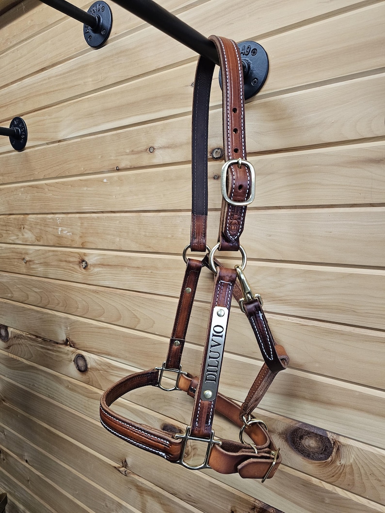 Graber" Handmade Leather Horse Halter: a Light Oil Rubbed Russet With ...
