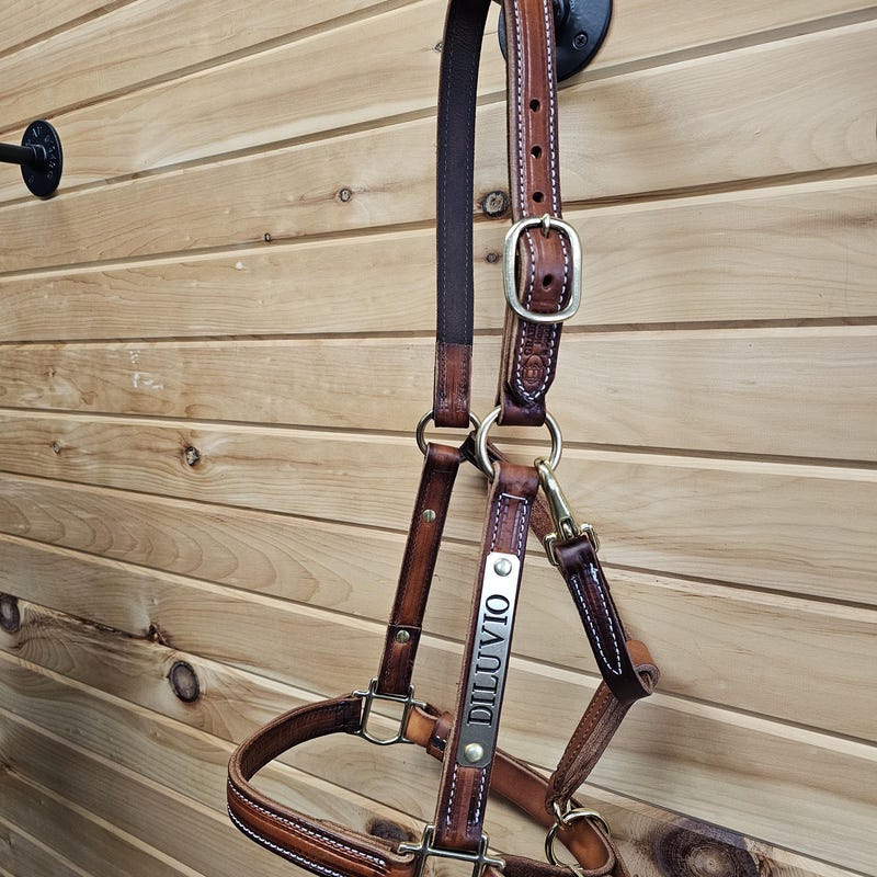 Leather Horse Name Halters - Etsy