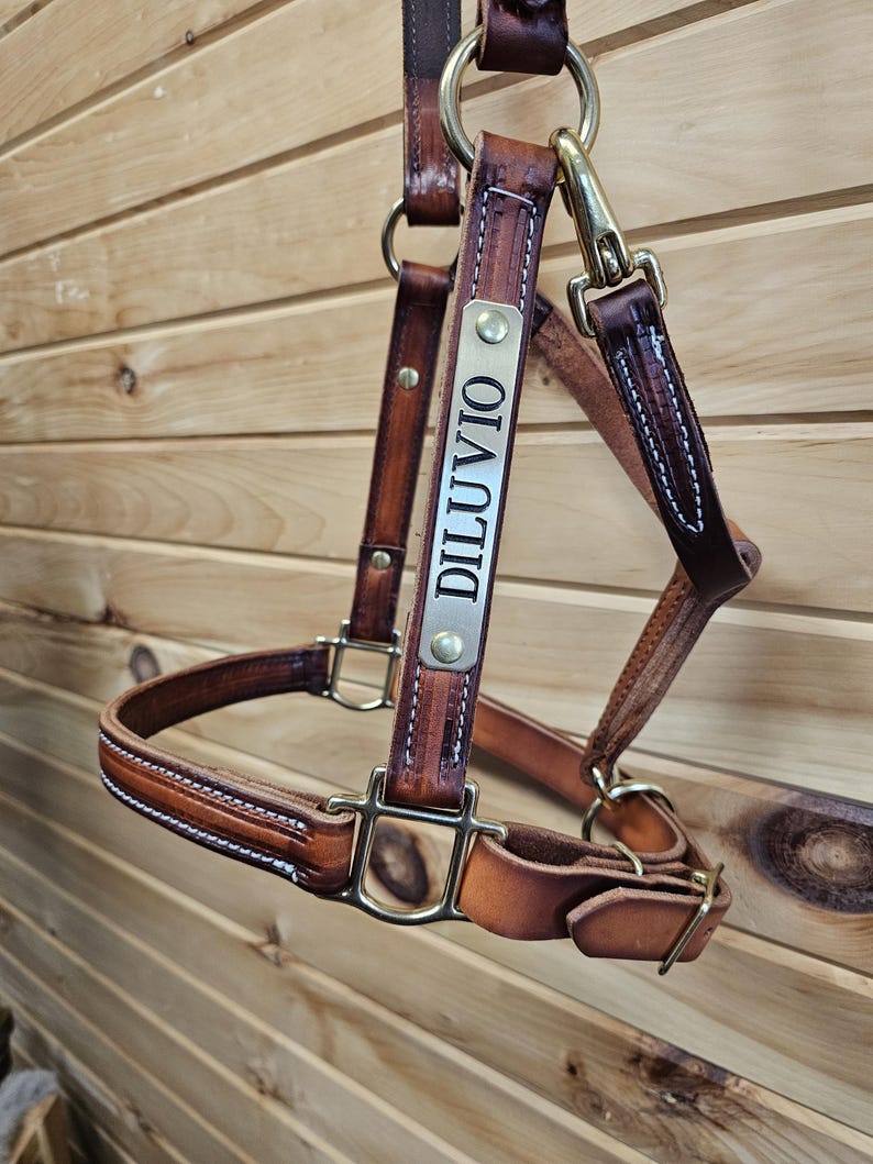 Graber" Handmade Leather Horse Halter: a Light Oil Rubbed Russet With ...