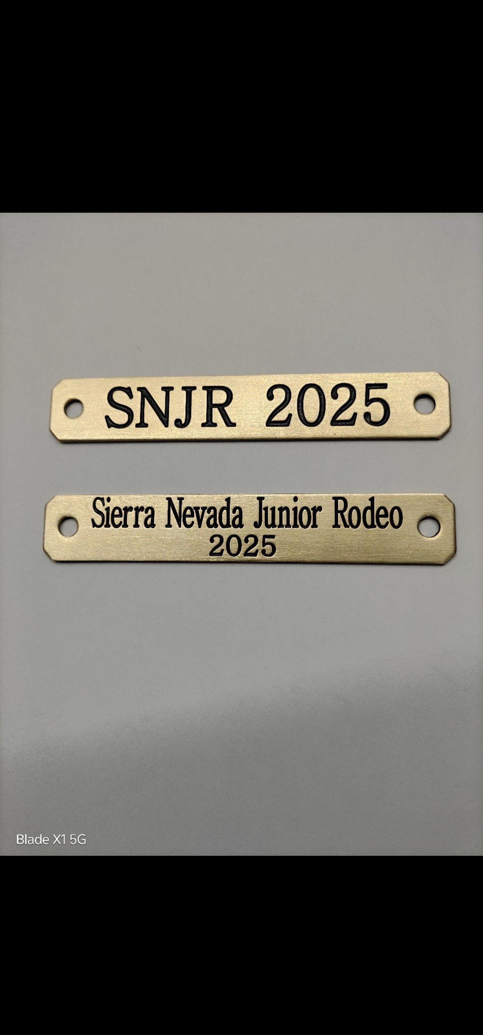 Engraved Heavy Brass Horse-halter-name Plate: Block Lettering - Etsy