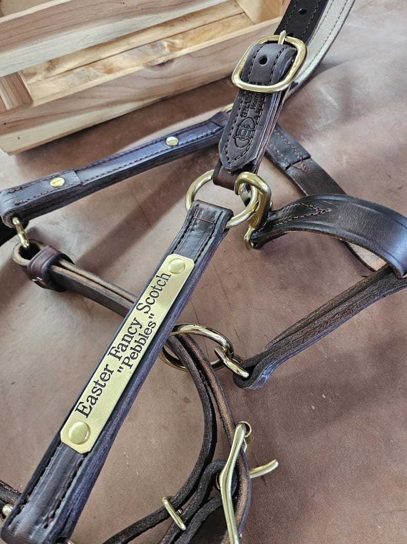 Engraved Heavy Brass Horse-halter-name Plate: Block Lettering - Etsy