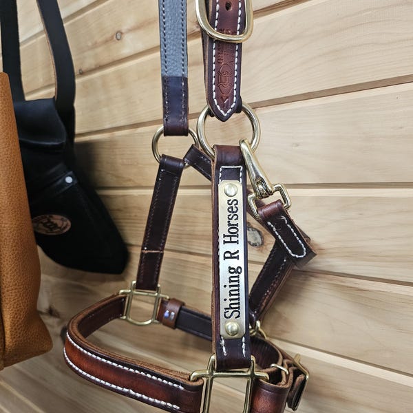 Custom Horse Halter - Etsy