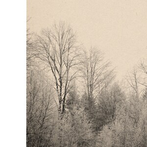 Minimal Monotone Landscape Photography in a Neutral Color. Part of a ...