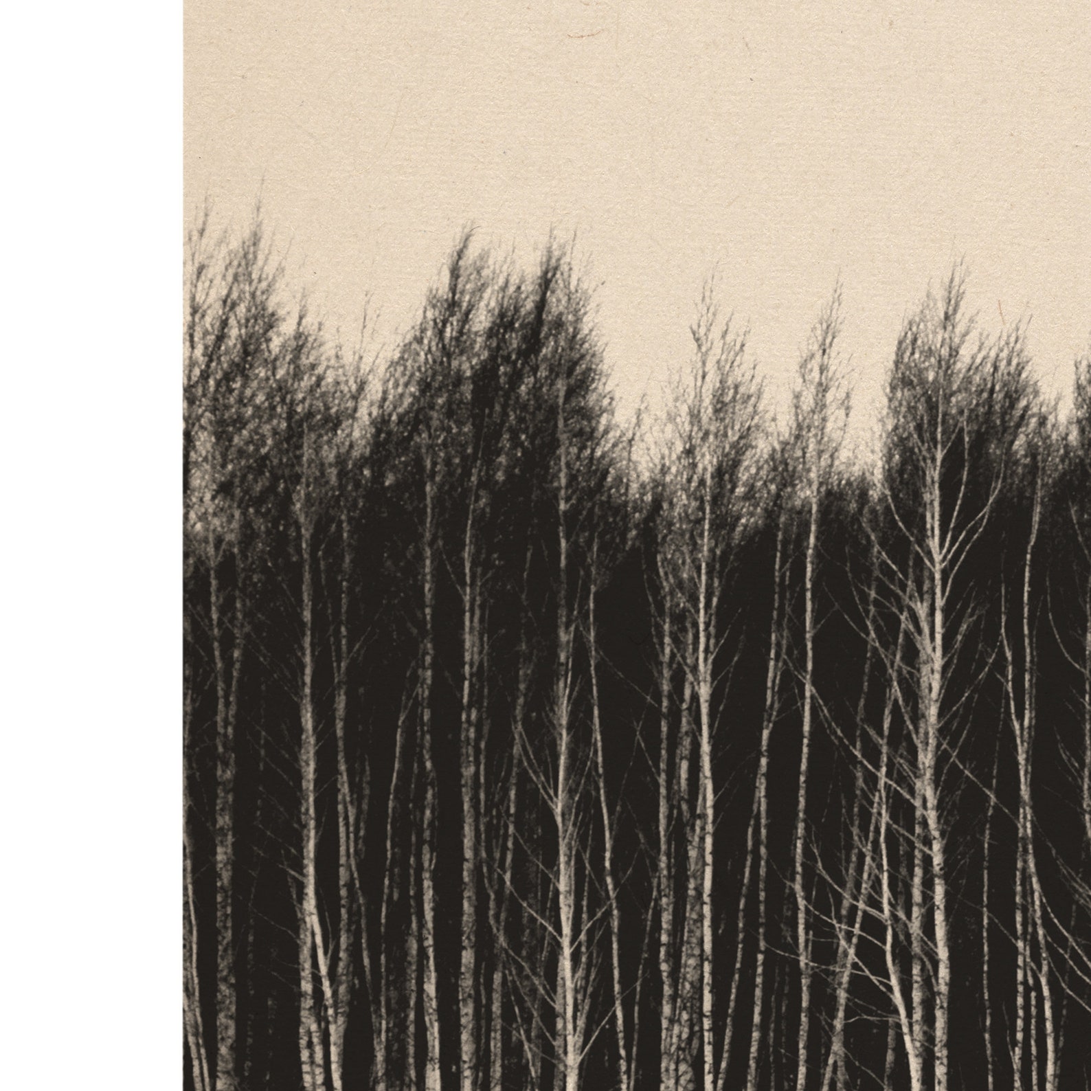 Minimal Landscape Photography in a Monotone Neutral Color. | Etsy