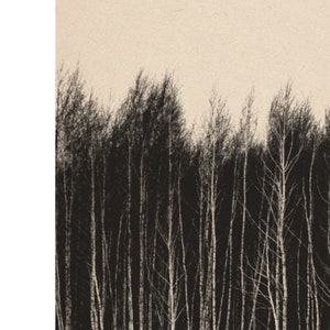 Minimal Landscape Photography in a Monotone Neutral Color. Part of a ...