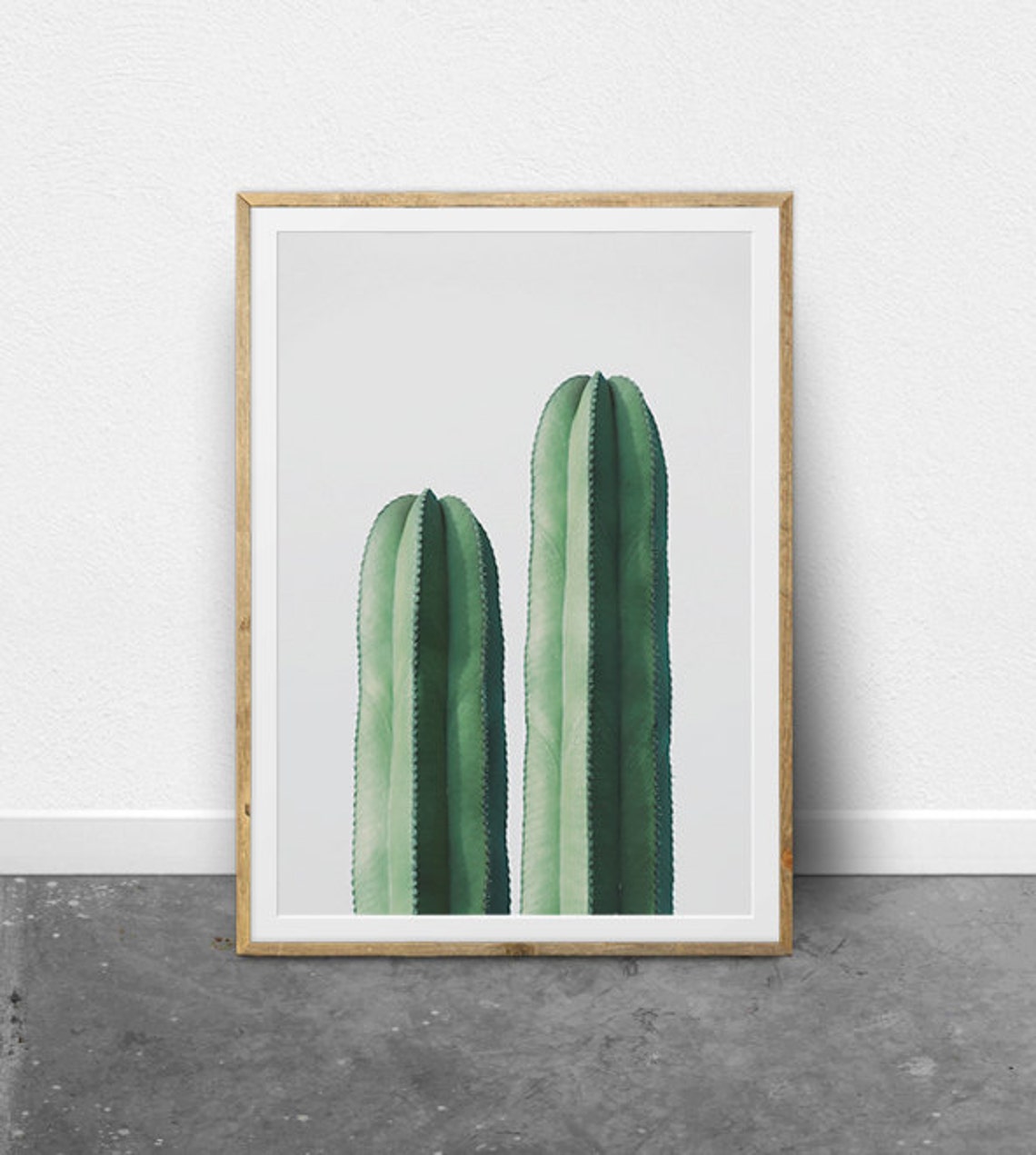 Modern Cactus Photography Print, Digital Download - Etsy