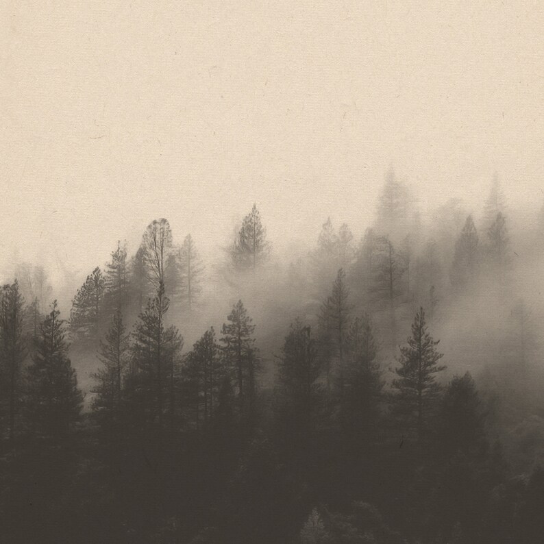 Minimal Forest Print. Part of a Series. No. 20. Downloadable Files to ...