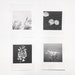 Botanical Print Set of Four. Digital Download. - Etsy