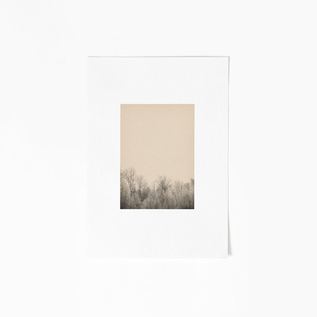 Minimal Monotone Landscape Photography in a Neutral Color. Part of a ...