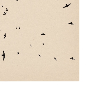 Flying Birds, Minimal Photography in a Monotone Neutral Color. Part of ...