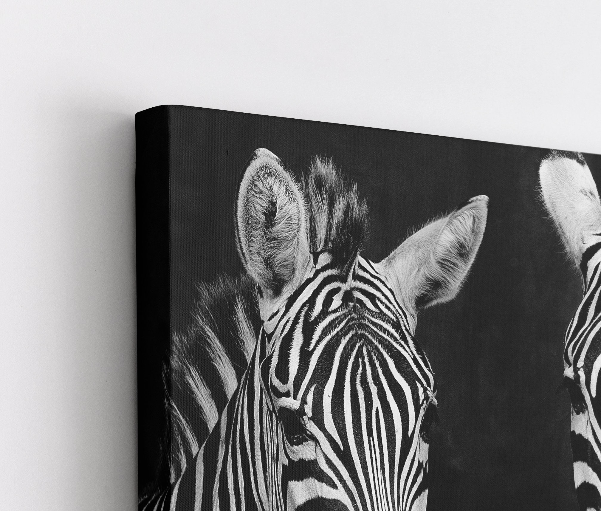 Zebra Wall Art Animal Canvas Print Texture Modern | Etsy