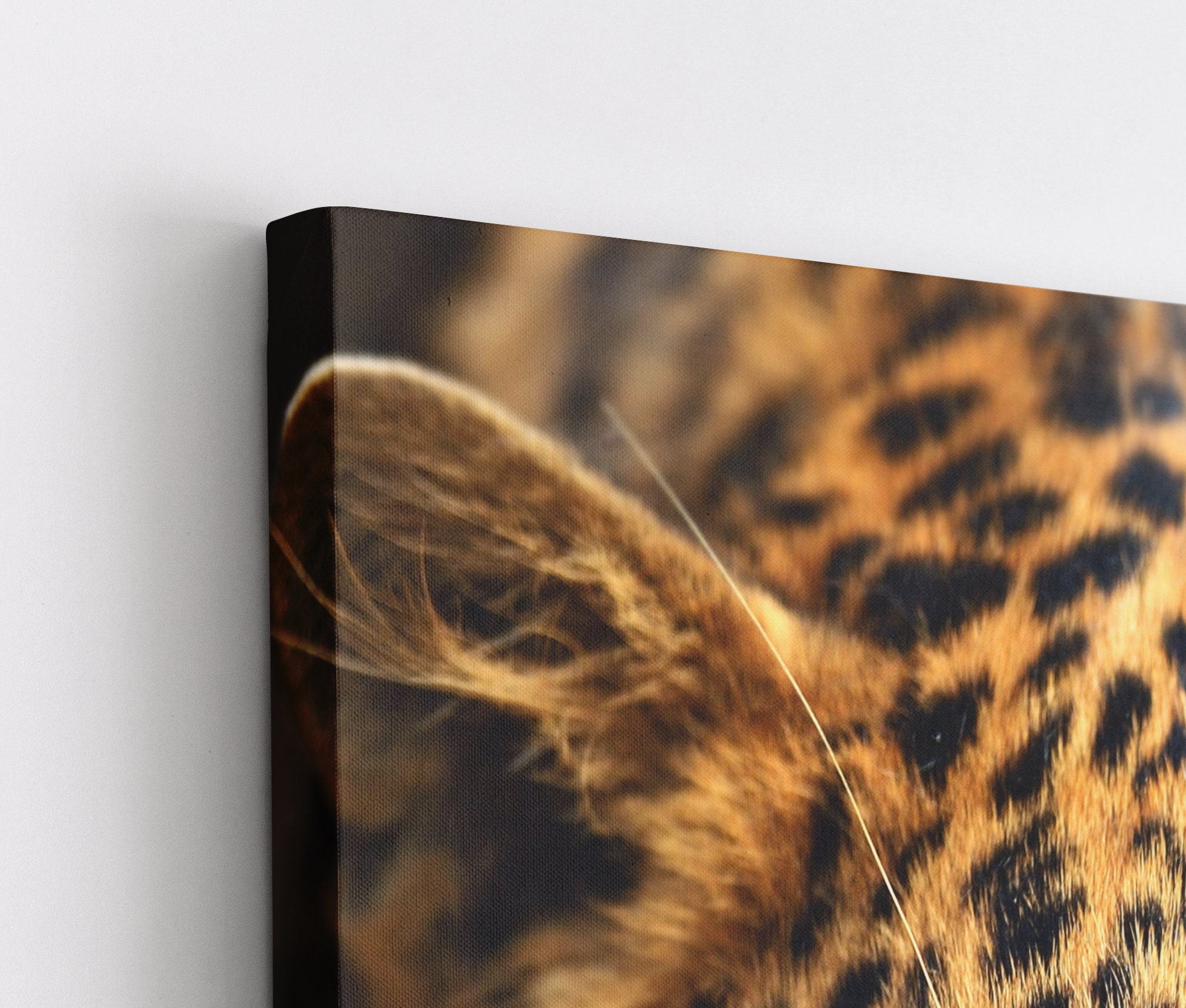 Leopard Wall Art | Leopard Canvas Print | Canvas Wall Art ...