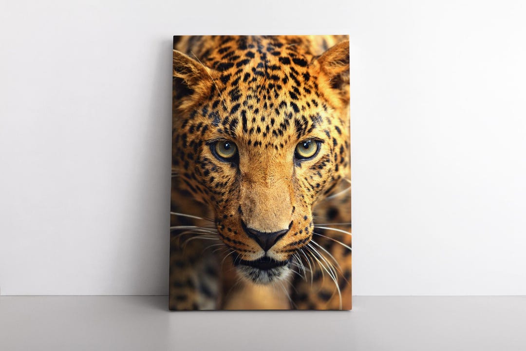 Leopard Wall Art | Leopard Canvas Print | Canvas Wall Art ...