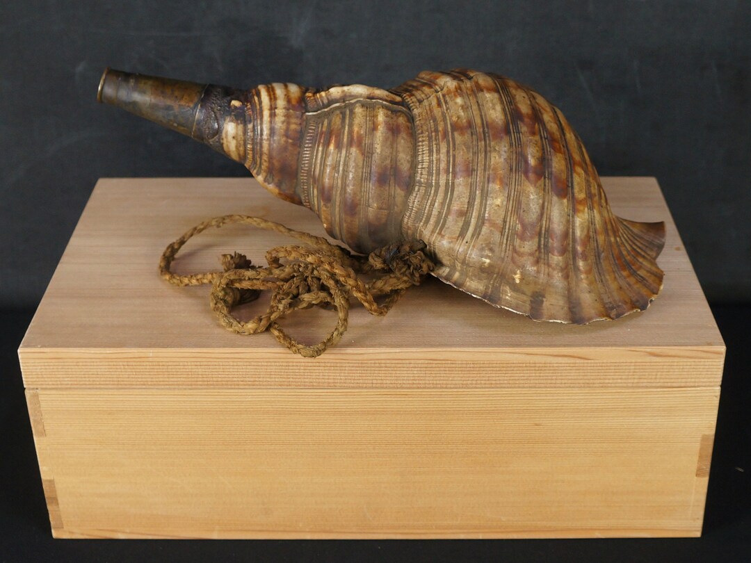 Antique Samurai Horn Japan Horagai Shell Trumped 1800s Craft - Etsy