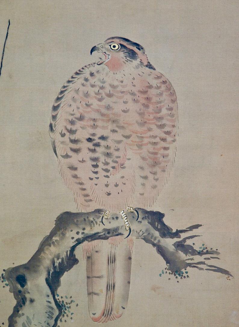Antique Japan Falconry Painting Ume-taka 1700s Edo Fine Art - Etsy
