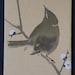 Japan Watercolor Uguisu Bird on Ume Blossom 1950 Hand Craft Tanzaku - Etsy