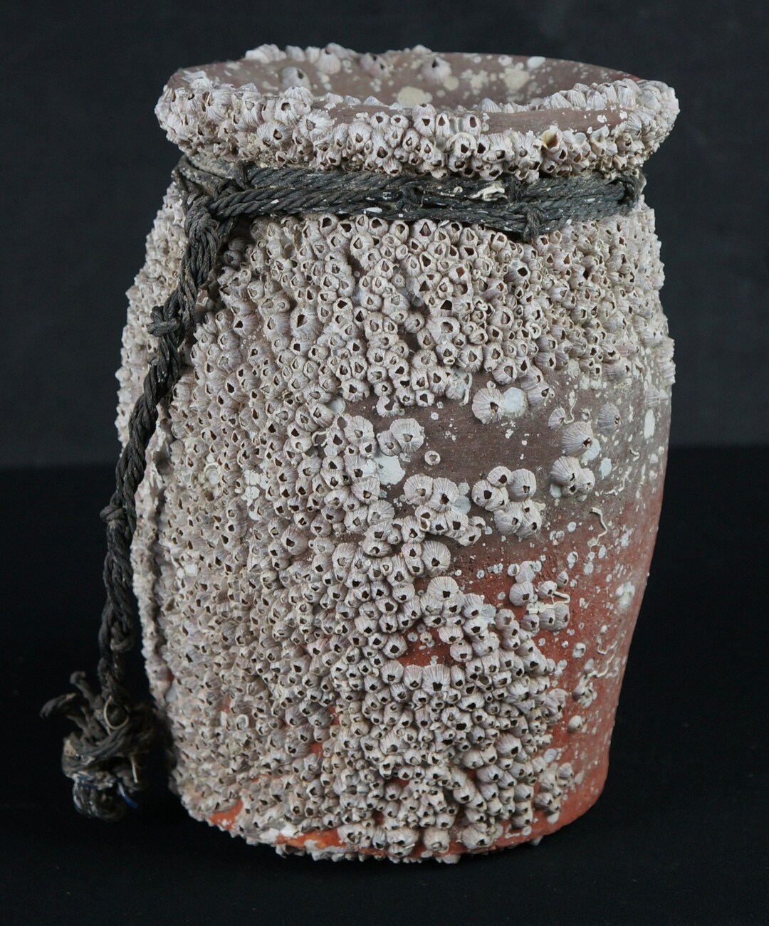 Antique Jap Takotsubo Octopus Vase Trap 1850 Fishing Rural Tool Craft ...