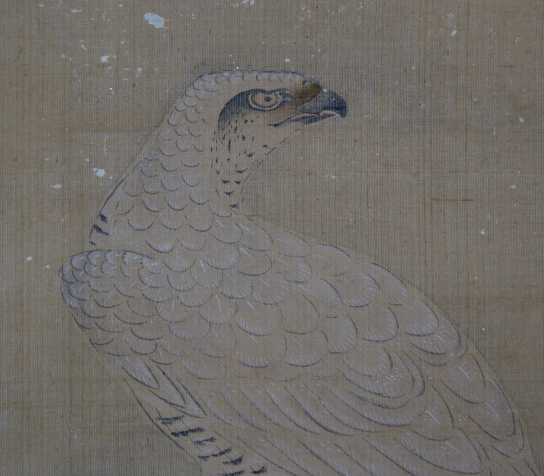 Antique Japan Falconry Painting Shiro-taka 1800s Edo Takagari Ryoshige ...