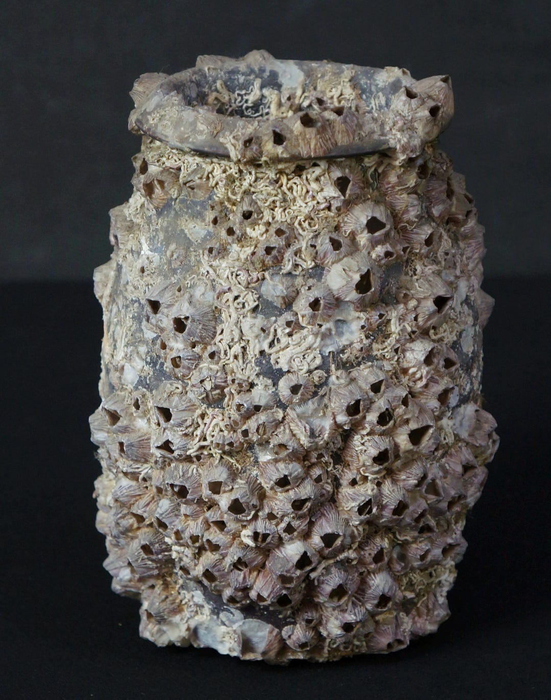 Antique Takotsubo Octopus Vase Trap Tool 1850 Japan Fishing Traditions ...