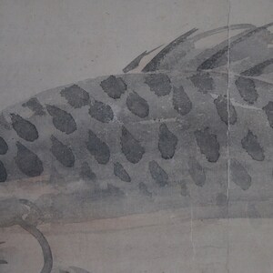 Antique Japan Koi Carp Ink Panting Scroll 1700 sumi-e Kakejiku ...