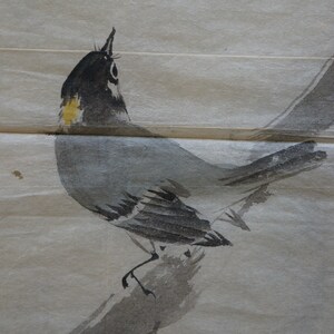 Antique Japan Ink Zen Ink Paiting Shika Birds on Paper 1800 sumi-e Art ...