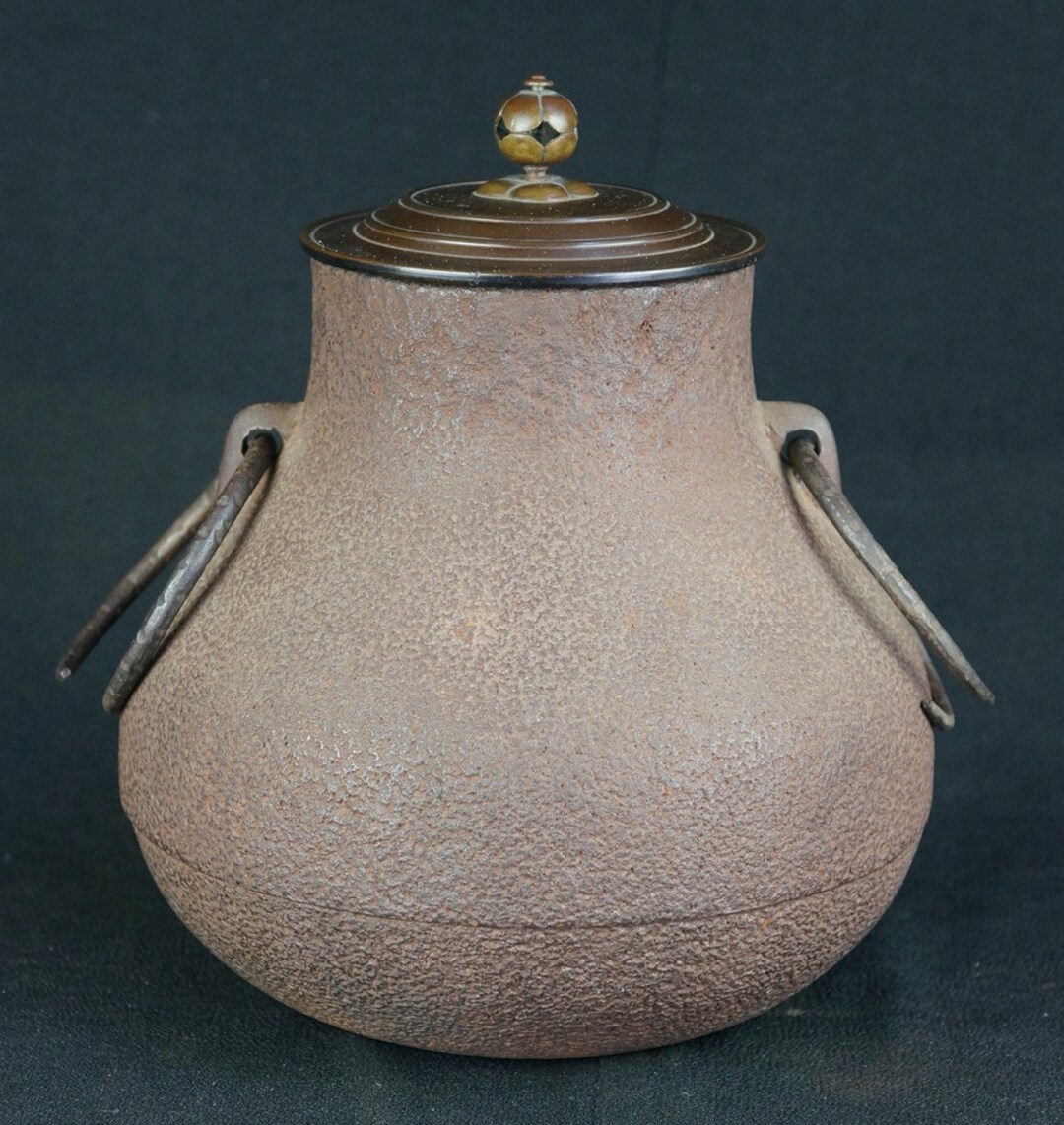 Japan Tea Ceremony Sand Cast Iron Kettle Chagama 1900s Japanese Craft ...