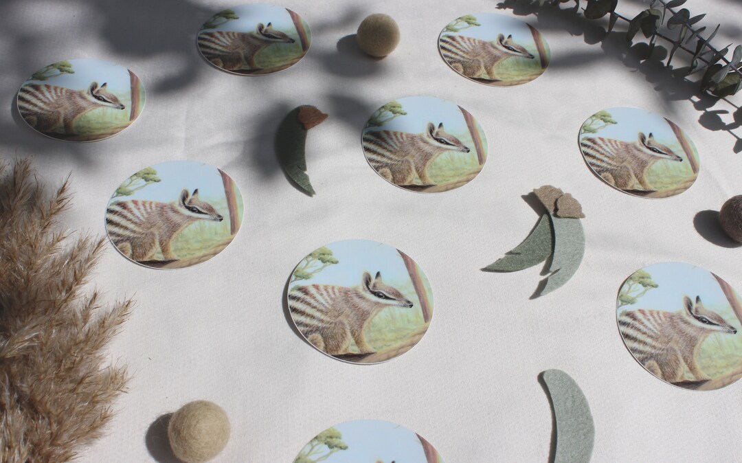 Numbat 75mm Vinyl Sticker - Australian Nature/animal Stickers ...