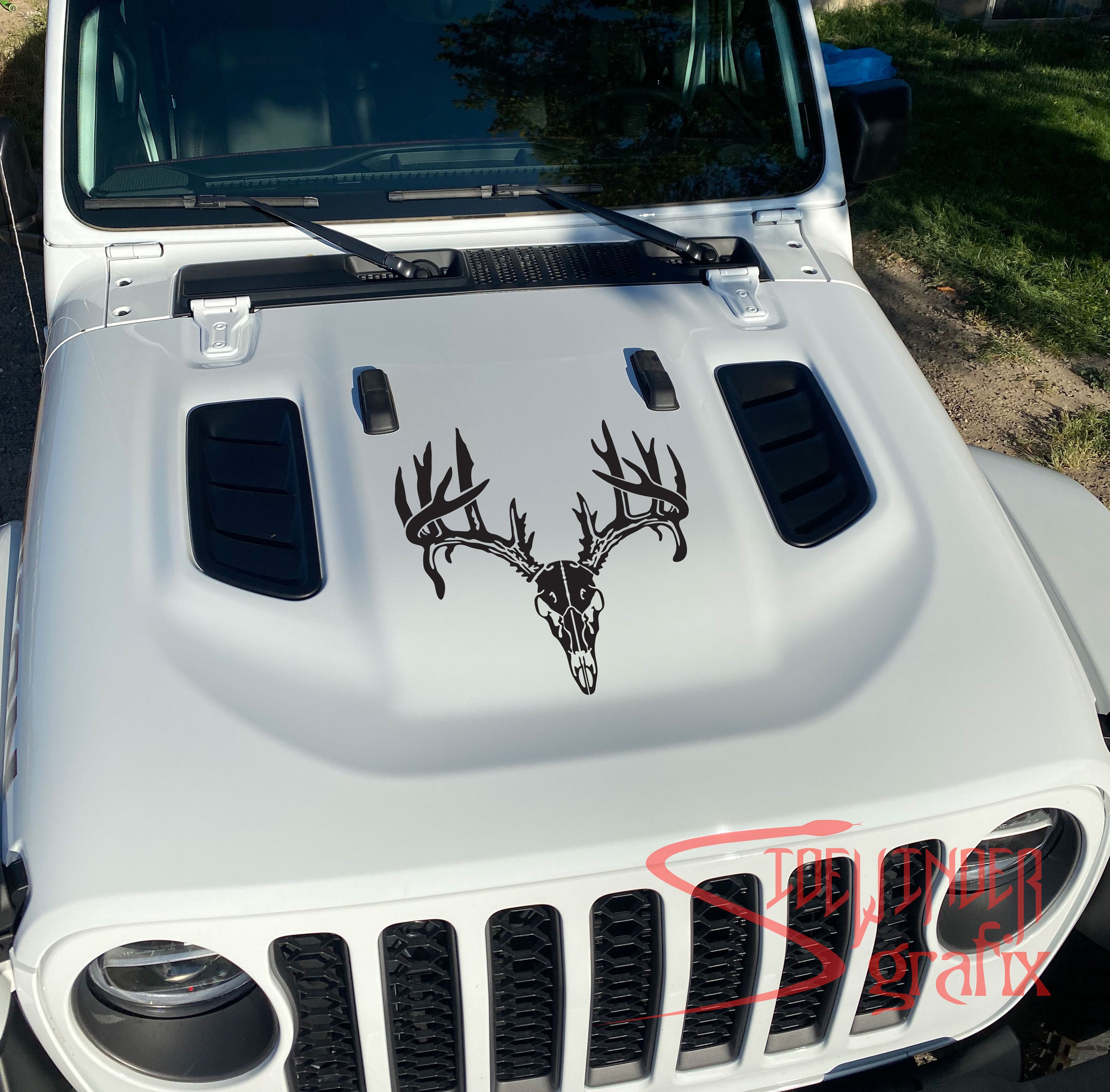 Mule Deer Skull Decal