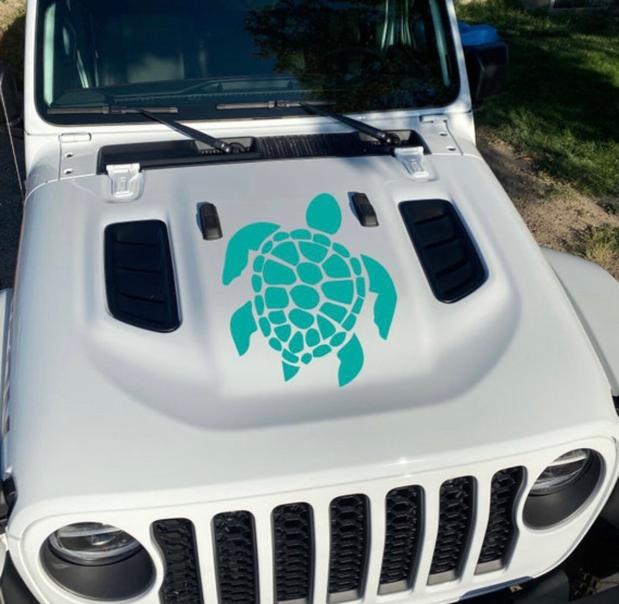 Sea Turtle Vinyl Decal for Car Truck or Jeep Wrangler - Etsy
