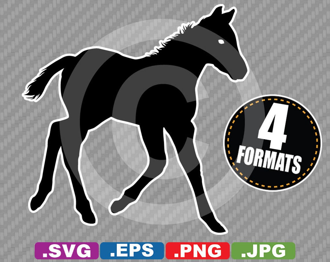 Foal / Colt / Horse Clip Art Image SVG Cutting File Plus Eps - Etsy ...