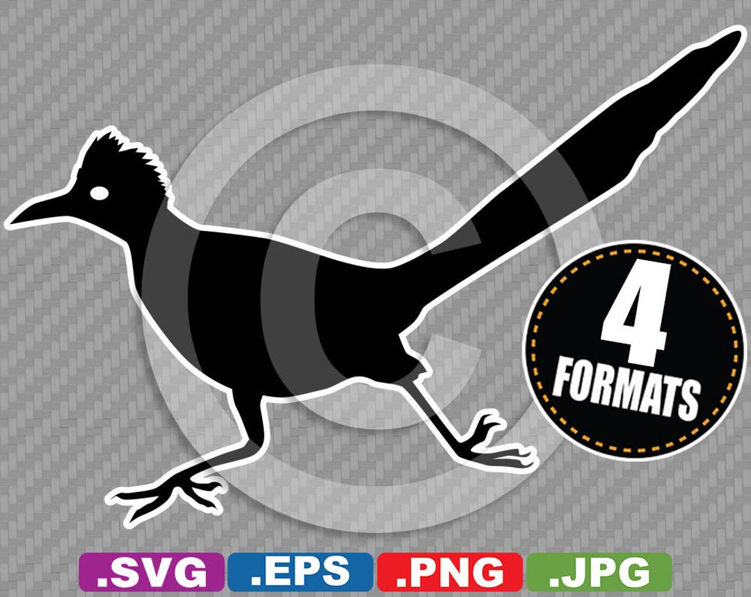 Roadrunner Bird Clipart Jpg