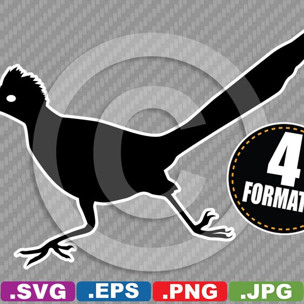 Roadrunner Bird - Etsy